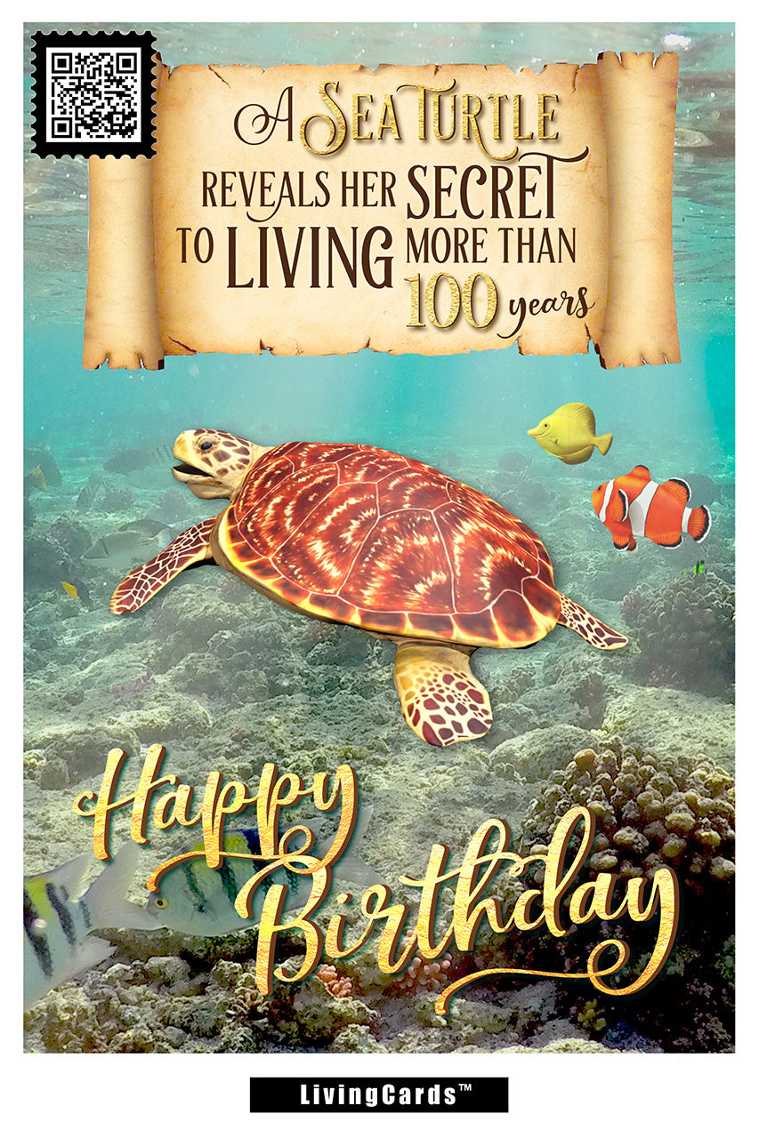 Secret of a Sea Turtle – ardesigngroup